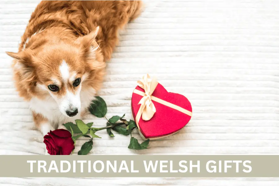 Traditional Welsh Gifts: 7 Cute and Fun Ideas