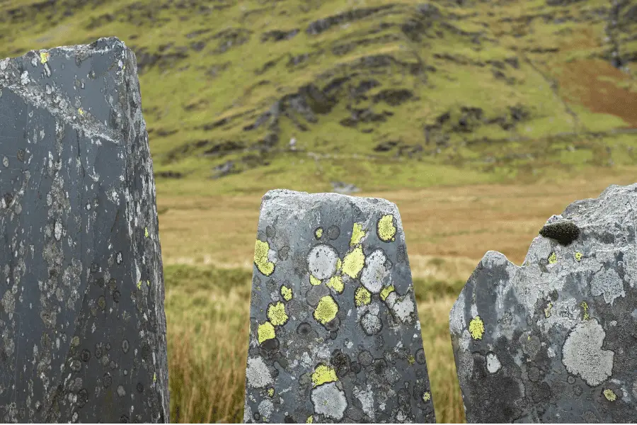 Traditional Welsh Gifts: 7 Cute and Fun Ideas