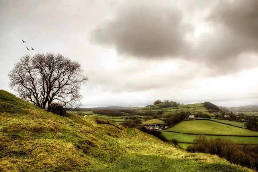 Fiction Welsh History Books